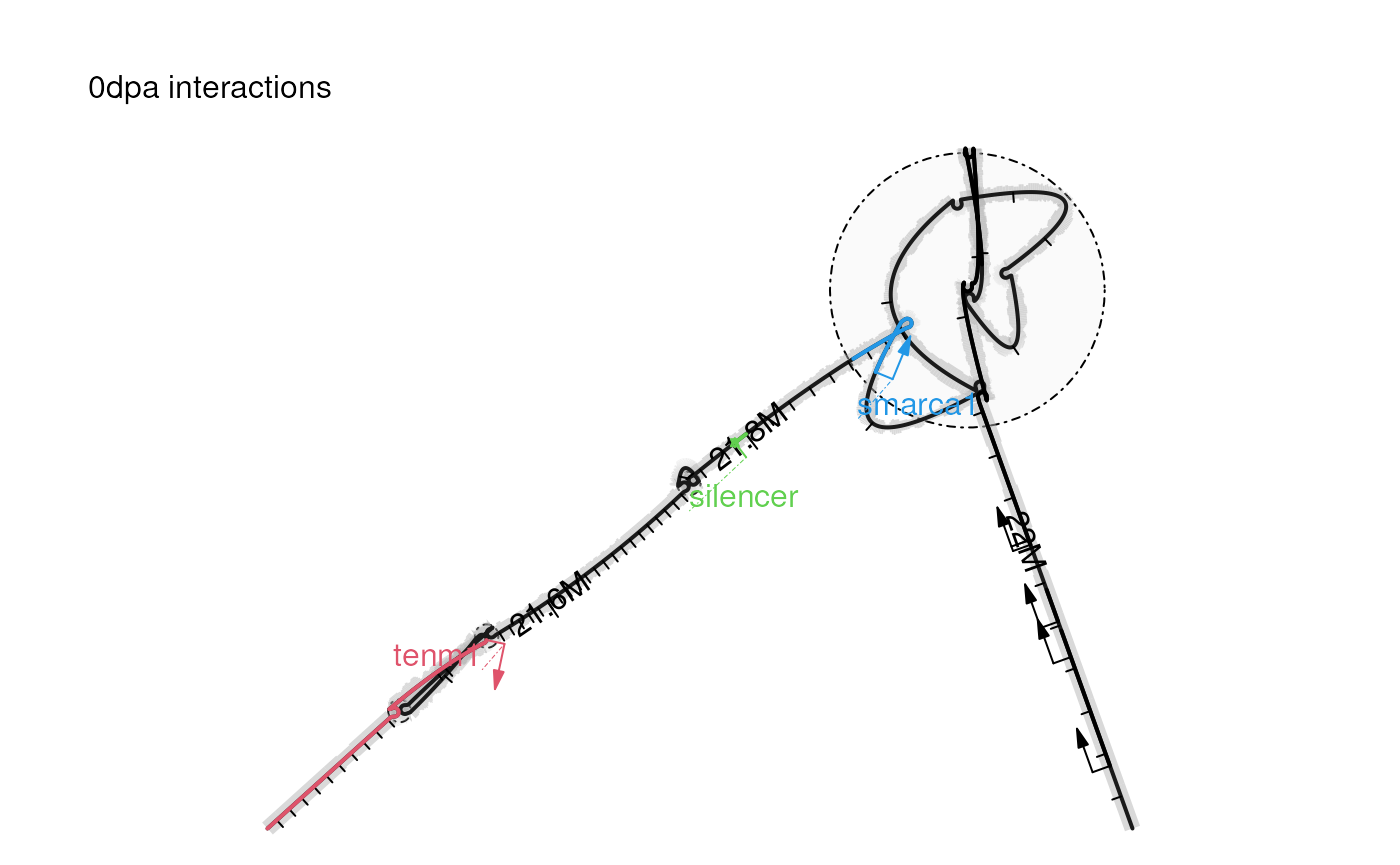 Figure 1 Vignette • loopBouquetPlotDocumentation