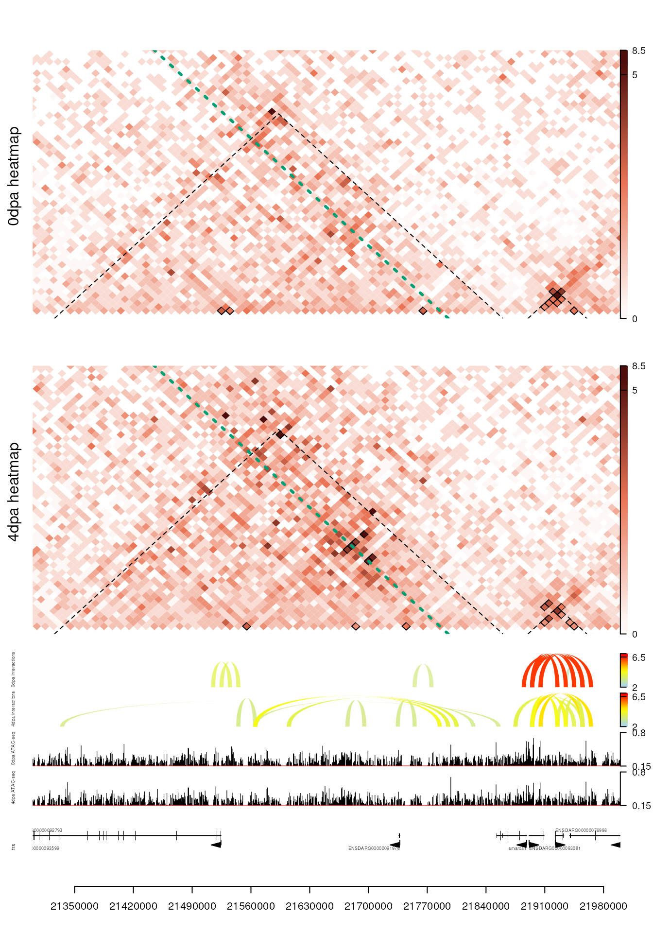 Figure 1 Vignette • loopBouquetPlotDocumentation