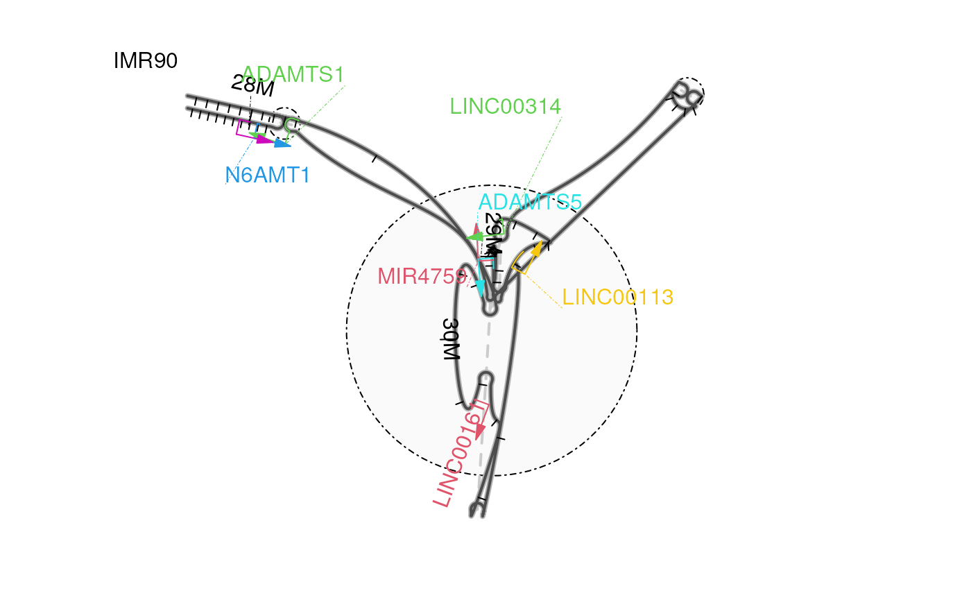 `loopBouquetPlot` example for Human HiC and ChIA-PET data • loopBouquetPlotDocumentation